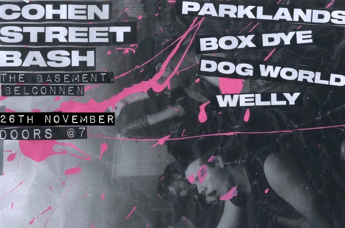 PUNK is BACK! 16 bands, 8 gigs, 1 CBR EP + more - BMA Magazine