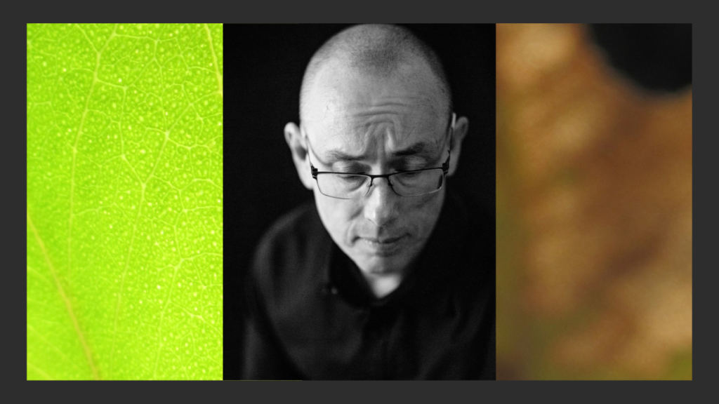 The New Canberra Supergroup: Hell Herons - BMA Mag